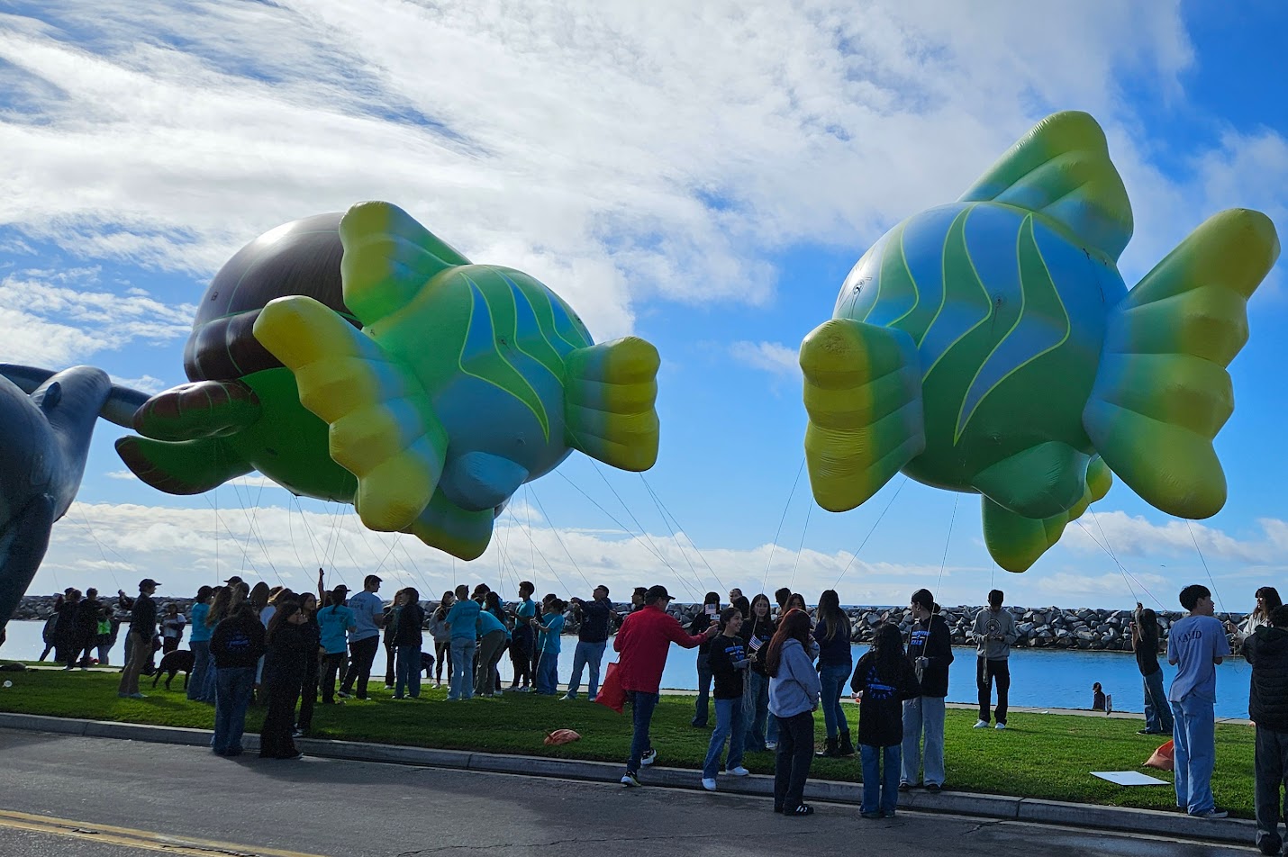 fish balloons | Lincoln and Continental Owner's Club - Western Region