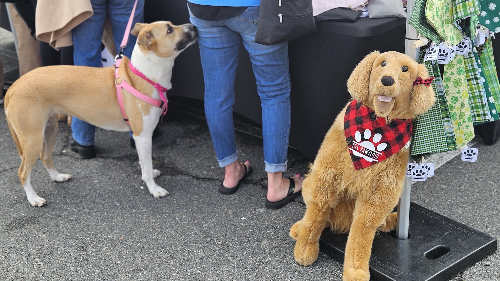 real dog and fake dog | Lincoln and Continental Owner's Club - Western ...